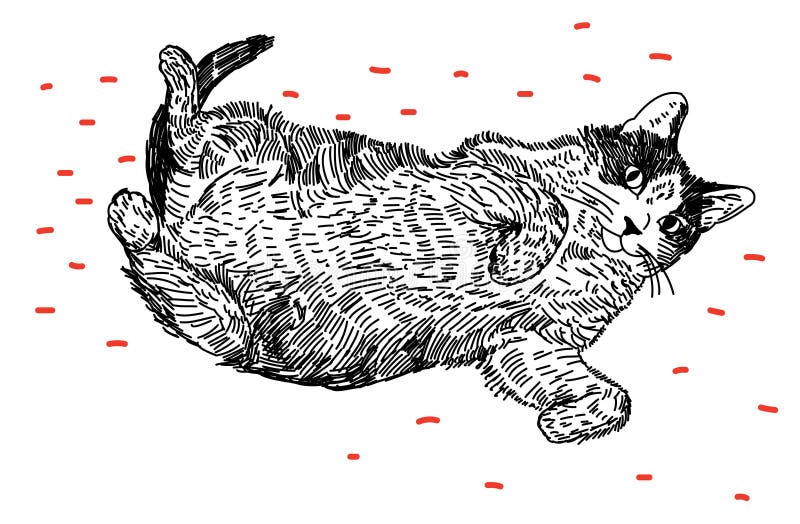 Cat Lying On His Back Stock Vector - Image: 49403379