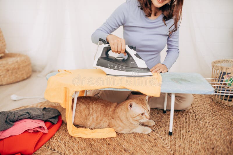 Cat Lying Under Ironing Board at Home Stock Image - Image of smile ...