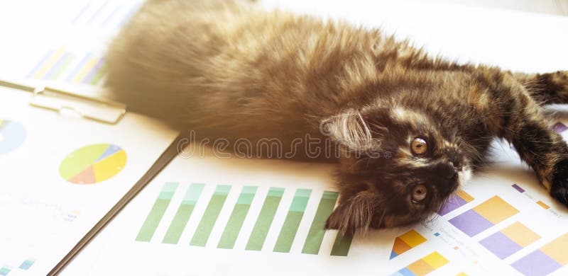 Mess on desk stock photo. Image of book, disorder, ancient - 4257578