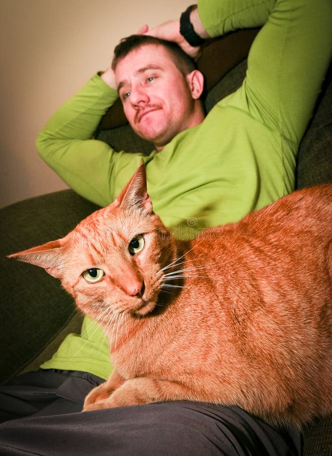 Man and cat stock photo. Image of animal, friendship, face - 4319632