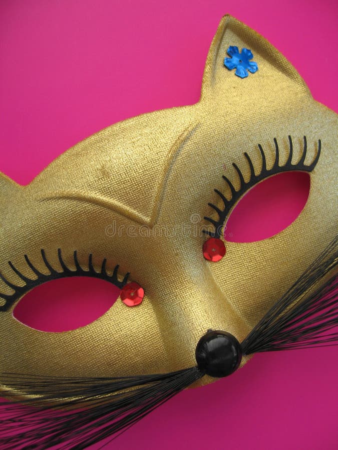 Cat Free Stock Photos & Pictures, Cat Royalty-Free and Public Domain ...