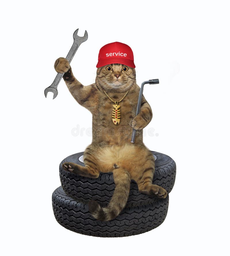 Iryna Kuznetsova (Ira1966k) - Photographer profile