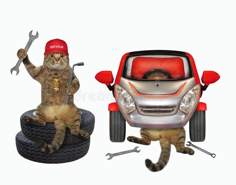 Cat Auto Mechanic Stock Photos - Free & Royalty-Free Stock Photos from ...