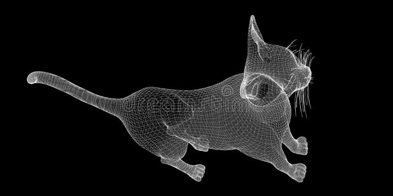 Cat model stock image. Image of mammals, cats, kitten - 48144283