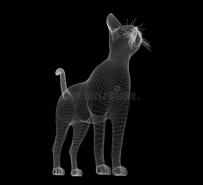 Cat model stock image. Image of length, mammals, isolated - 48144291