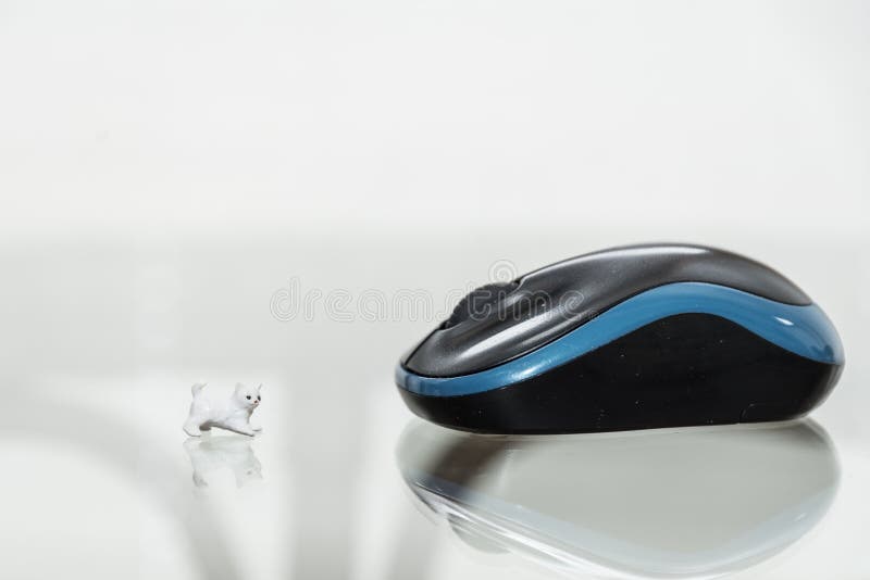 Cat and mouse - optional stock image. Image of mouse - 214670805