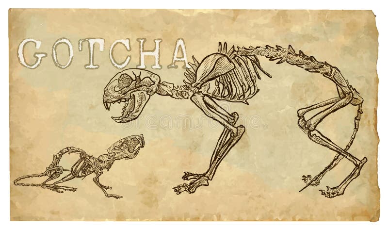 Cat and Mouse, Skeletons - Freehand Vector Stock Vector - Illustration ...