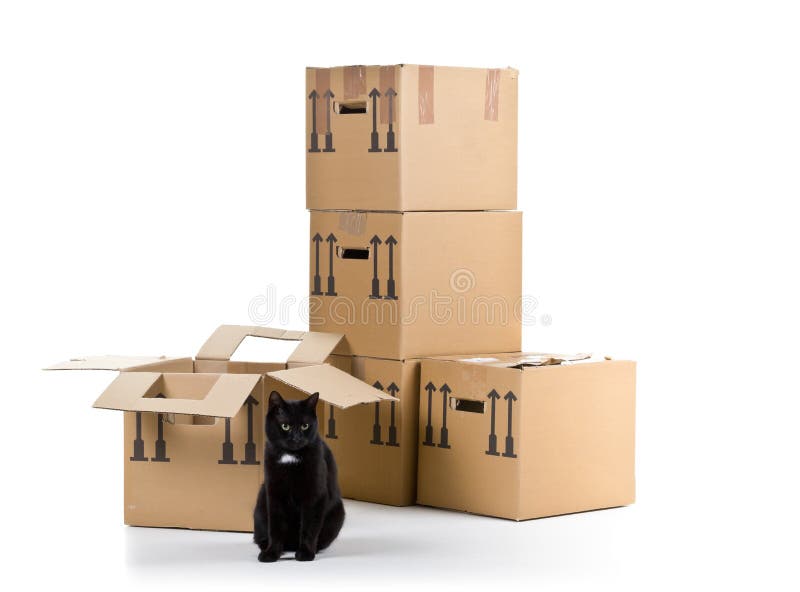 Stacked Moving Boxes and Cases Stock Image - Image of front, pack: 27718121