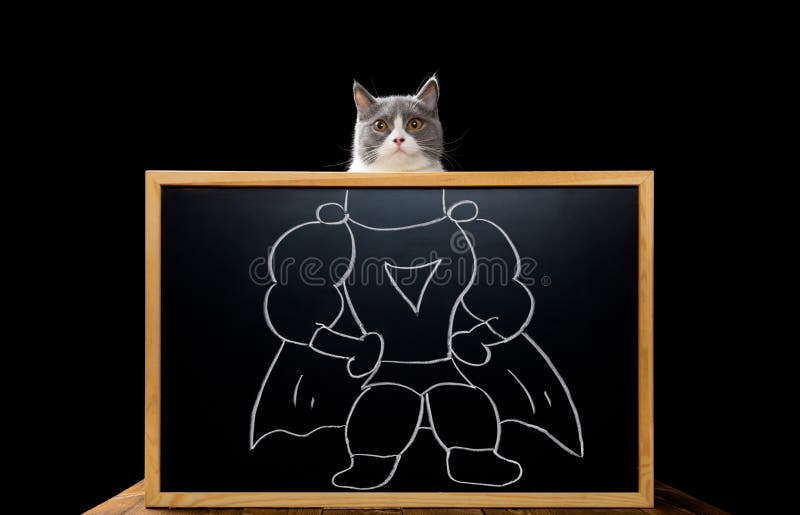 A Cat with a Muscle Man Sketch Concept of Strength Stock Photo - Image ...