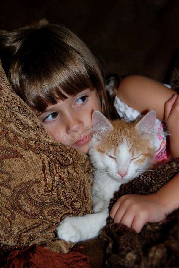 Cat nap stock photo. Image of couch, adorable, blanket - 2794574