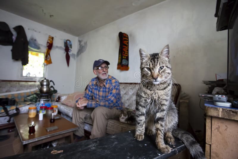Cat and Old Man Indoor. Art Concept Photo Editorial Photography - Image ...