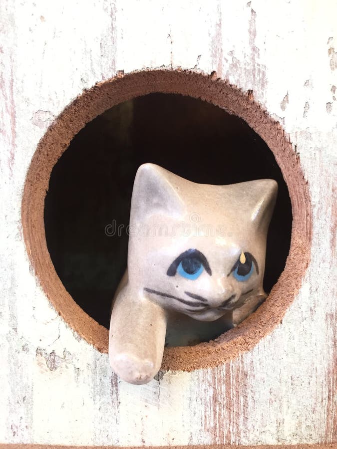 CAT stock photo. Image of love, wooden, vintage, enamelware - 97159554