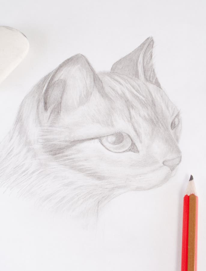 Cat on paper stock illustration. Illustration of form - 22385203