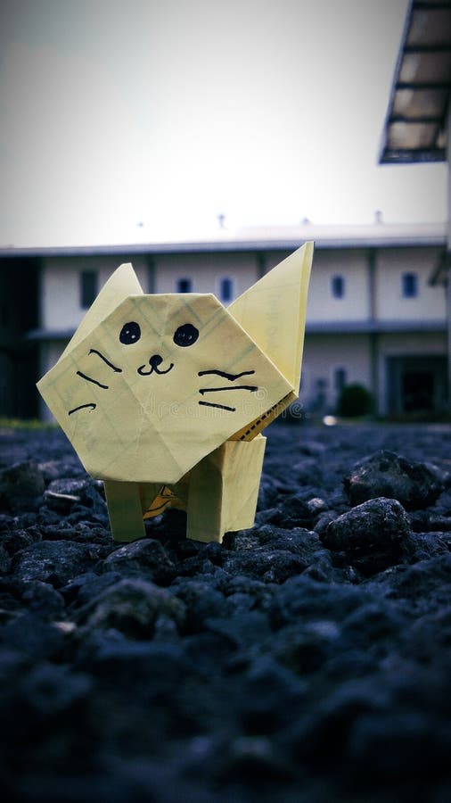 Cat papper stock image. Image of walk, papper, smile - 263010125