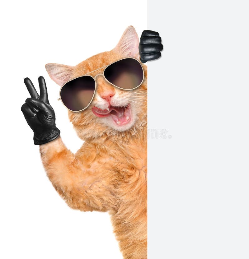 Dog and Cat with Peace Fingers in Red Christmas Hats Stock Image ...