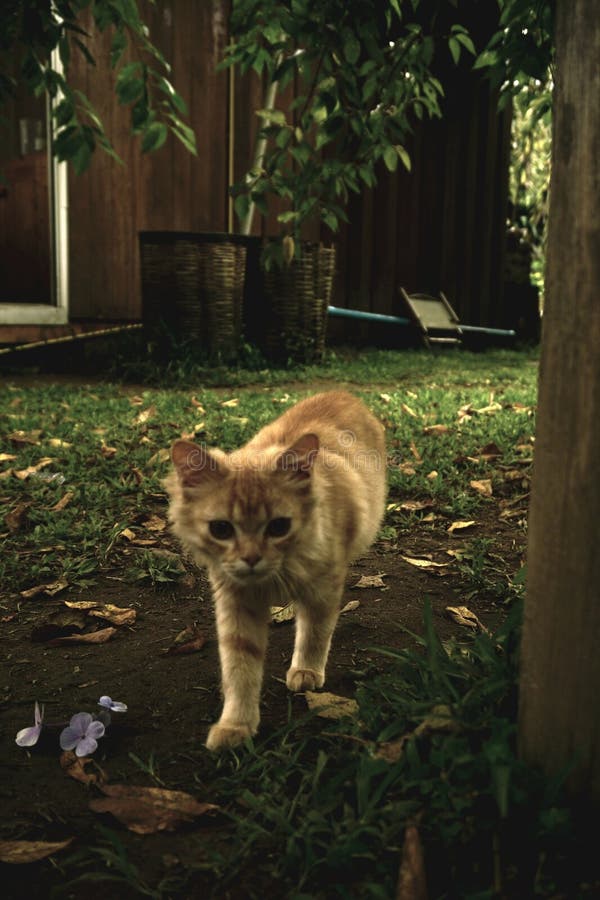 139 What Fixed Stock Photos - Free & Royalty-Free Stock Photos from ...