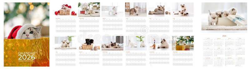 Wall Calendar Animal Families 2026 Stock Photos - Free & Royalty-Free ...