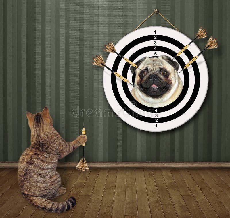 Cat playing dart at home 3 stock photo. Image of mops - 175801748