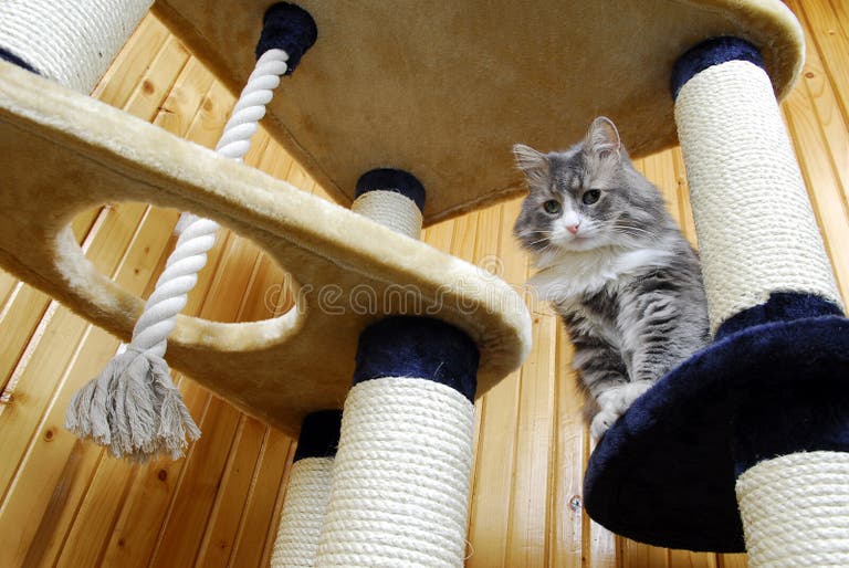 35,140 Huge House Flieshabitat Stock Photos - Free & Royalty-Free Stock ...