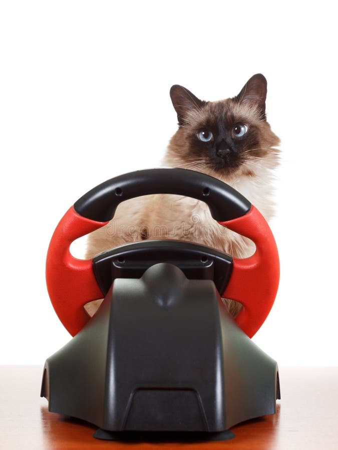 172 Deadpan Photography Studio Stock Photos - Free & Royalty-Free Stock ...