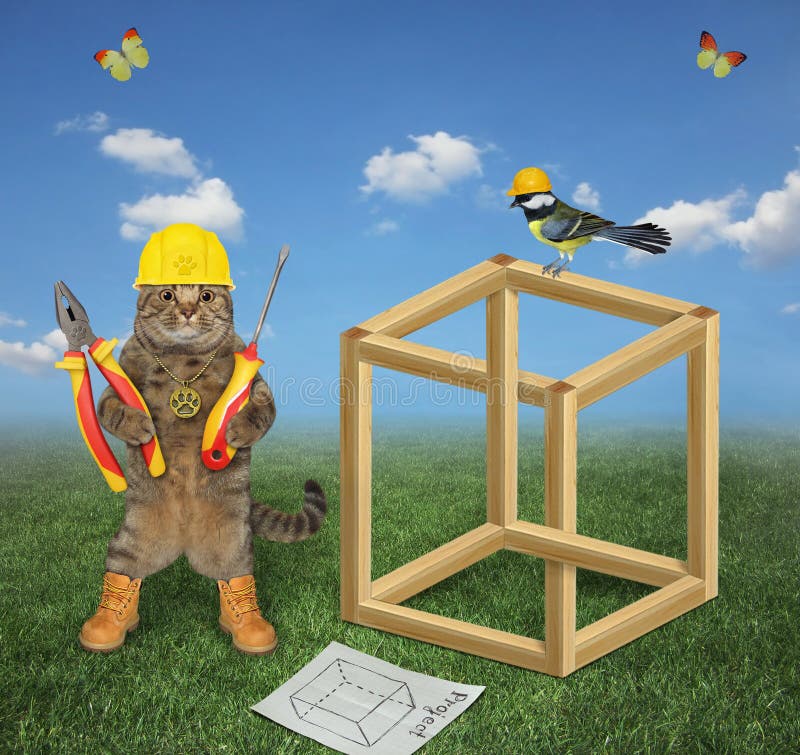 Cat with Plier and Screwdriver Near Cube Stock Photo - Image of concept ...