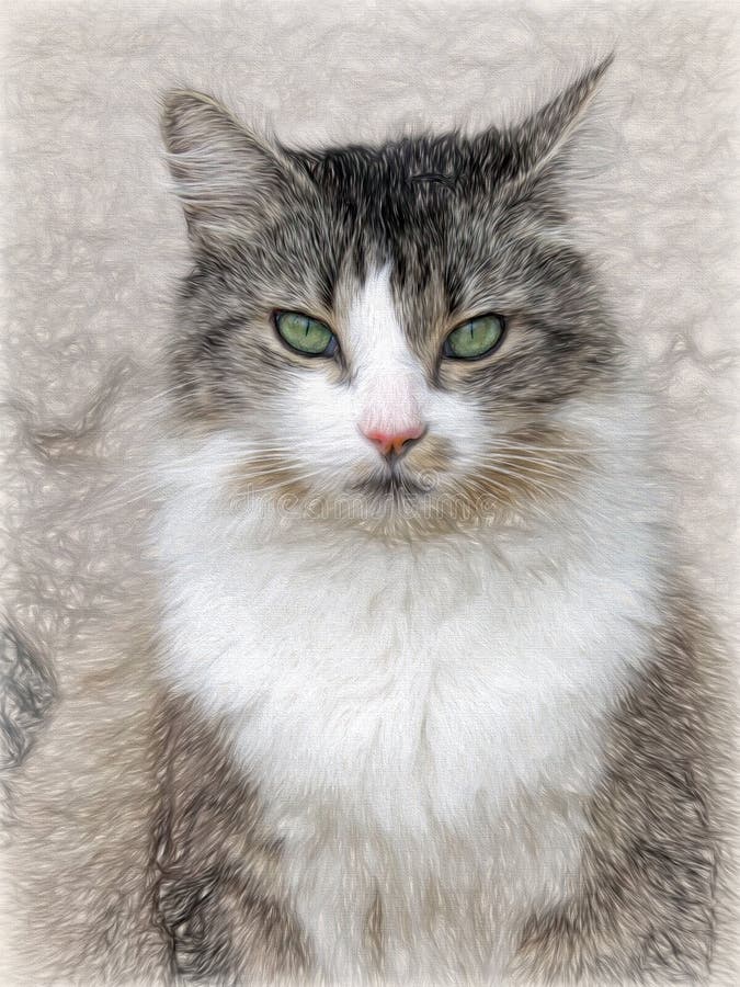 Cat Portrait Textured stock image. Image of kitty, sitting - 100558661