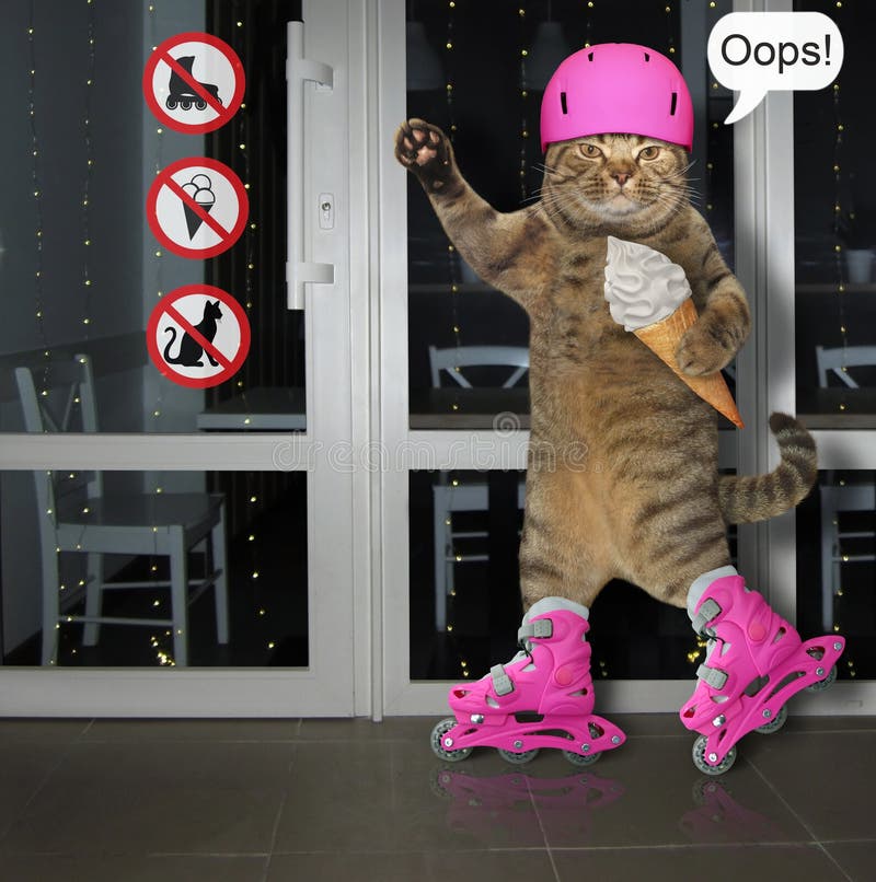 Cat Rollerblading with Ice Cream 2 Stock Image - Image of hobby, animal ...
