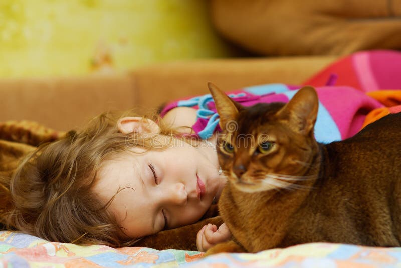 Cat Protects Dream of Child Stock Image - Image of caucasian, life: 5847737
