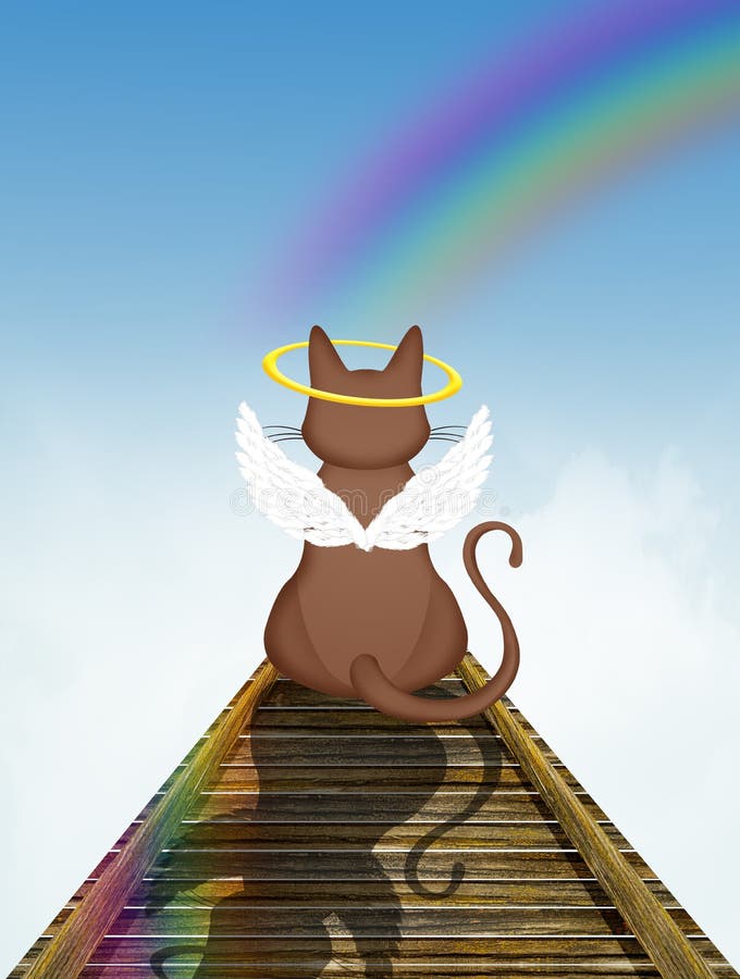 Cat Heaven Stock Illustrations – 1,123 Cat Heaven Stock Illustrations ...