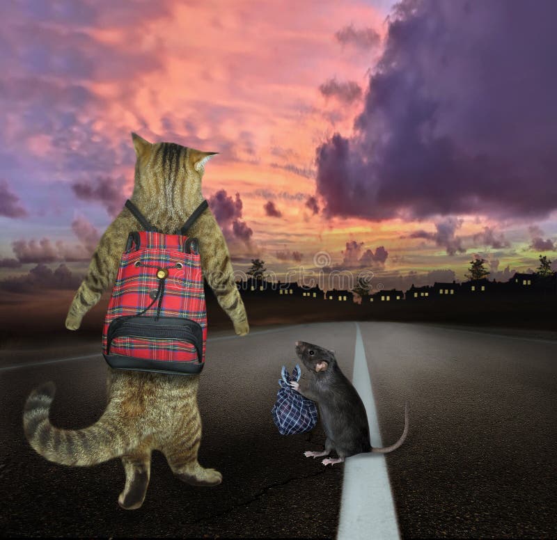 110 Highway Mouse Stock Photos - Free & Royalty-Free Stock Photos from ...