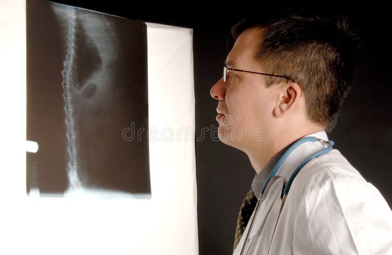 Cat X-ray stock image. Image of lungs, handsome, serious - 3969729