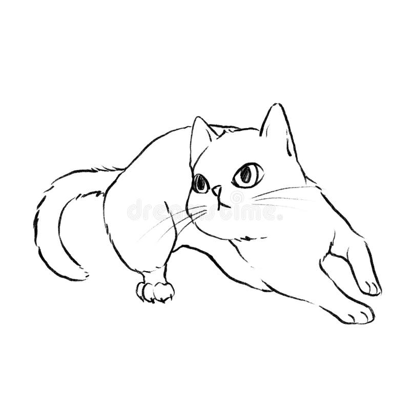 Cat Run Outline Coloring Stock Illustrations – 17 Cat Run Outline ...