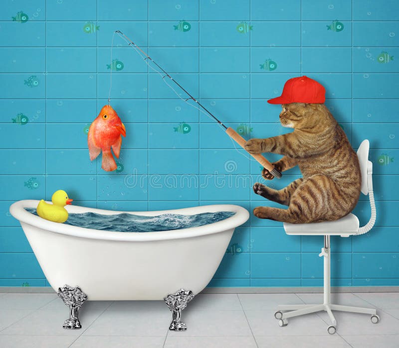 Cat in Red Cap Fishing in Bathroom Stock Image - Image of sport ...