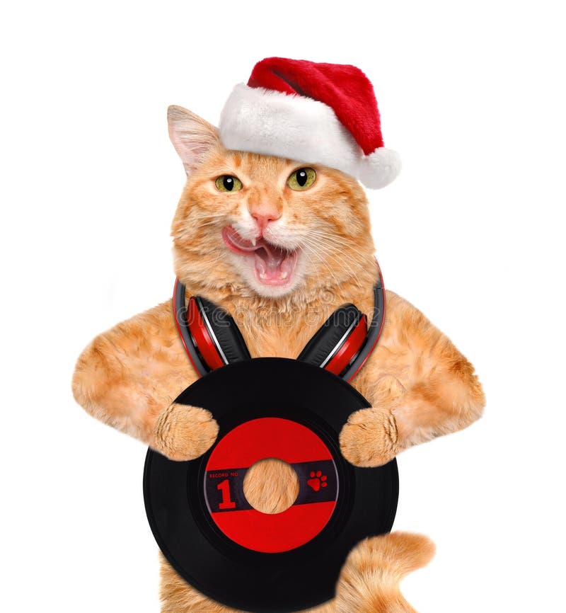 Cat in Red Hat Holds a Vinyl Record . Stock Photo - Image of disc ...