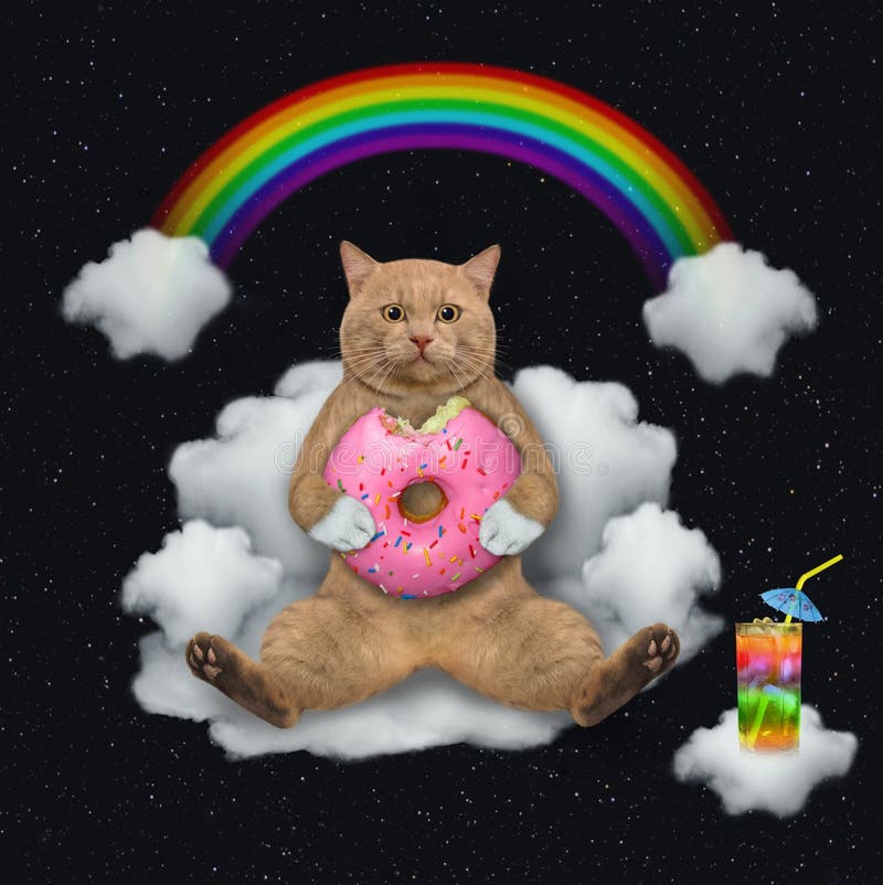 Cat Reddish with Pink Donut on Cloud Stock Photo - Image of creative ...