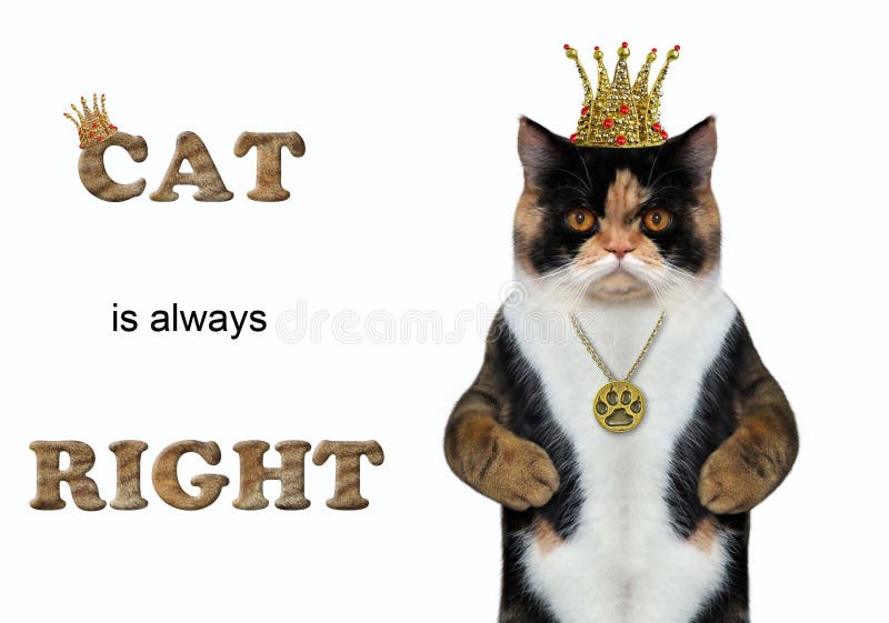 Cat queen is always right stock image. Image of creative - 149067707
