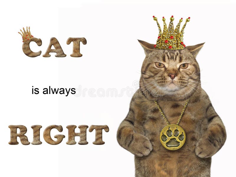 Cat queen is always right stock image. Image of creative - 149067707