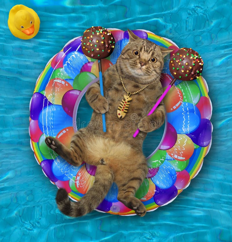 Cat on Ring Holds Cake Pops in Pool Stock Photo - Image of candy ...
