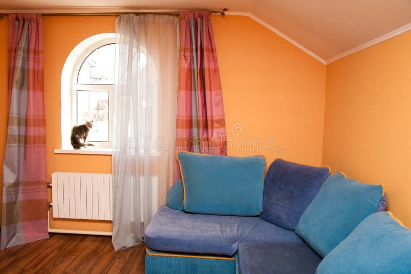 Cat in room interior stock photo. Image of curtains, arched - 13435608