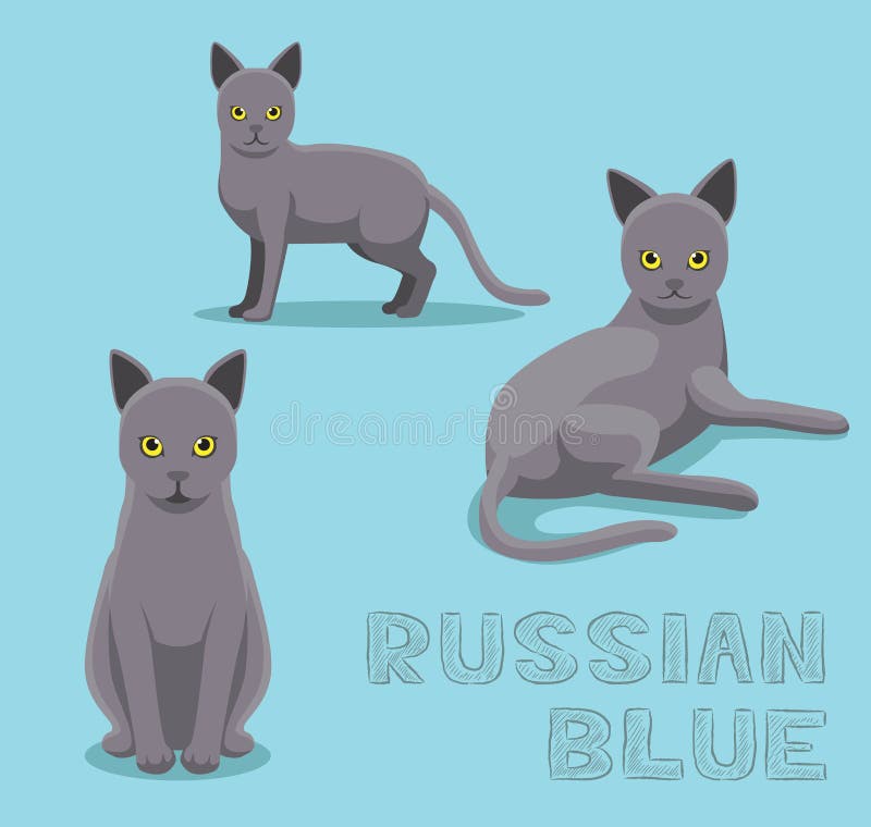 Cat Russian Blue Cartoon Vector-Illustration Vektor Abbildung ...