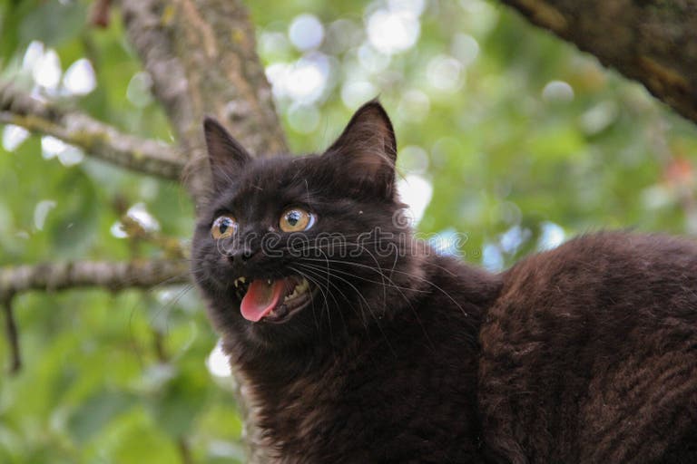 Sign My Chili Stock Photos - Free & Royalty-Free Stock Photos from ...