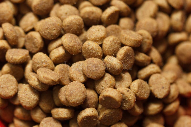 Cats Forage in the Form of Tablets a Close Up Macro Stock Image - Image ...