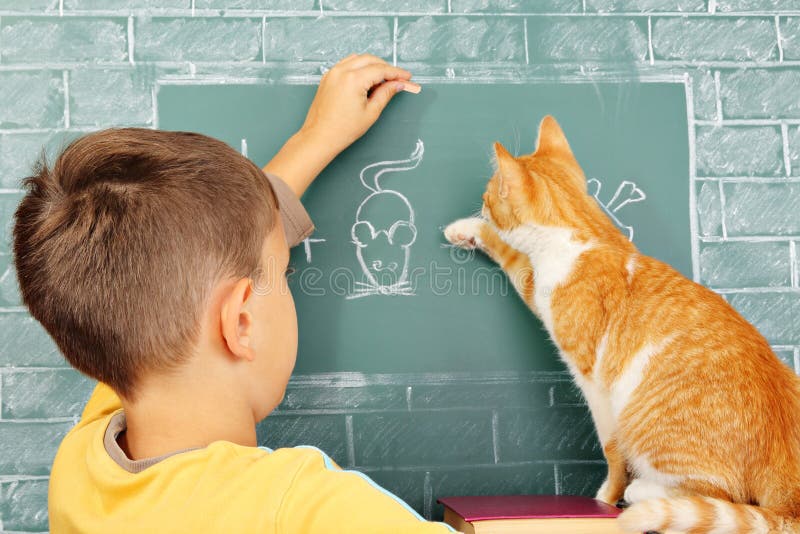 Cat school stock image. Image of arithmetic, design, animal - 59790065