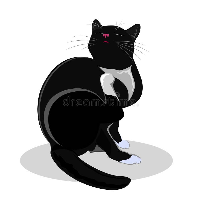 Cat Scratching Itchy stock illustration. Illustration of massage - 41571656