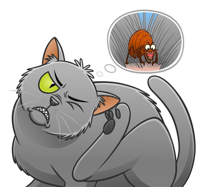 Cartoon Flea Stock Illustrations – 2,574 Cartoon Flea Stock ...