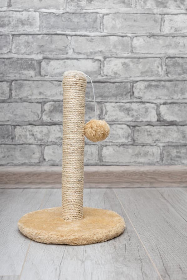 Cat Scratching Post is on the Floor in the Room Stock Photo - Image of ...