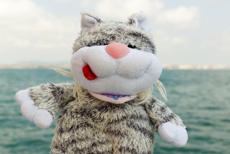 Cat and sea stock image. Image of animal, nature, ship - 43659937