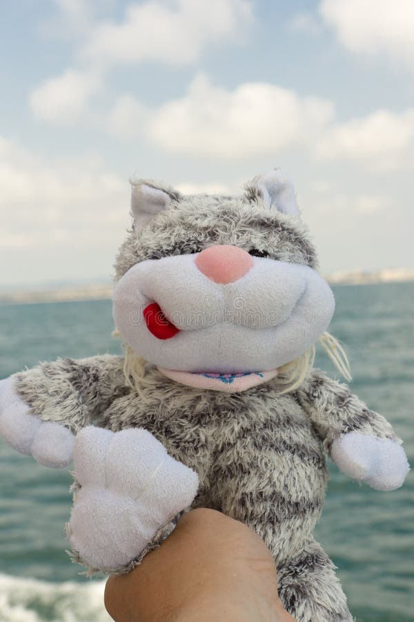 Cat and sea stock image. Image of vessel, cruise, nature - 52378987