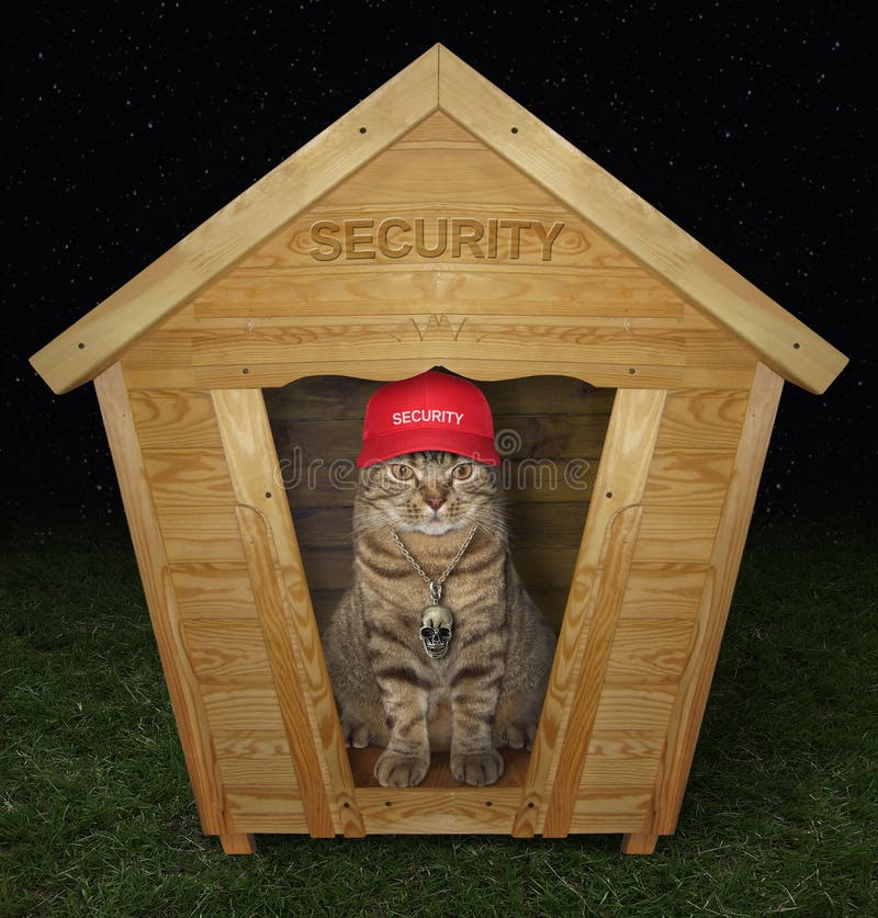 Cat in the security booth stock photo. Image of creative - 133699506