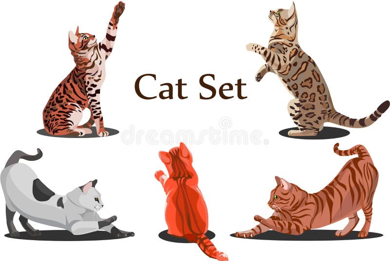Cat Set stock vector. Illustration of kitten, character - 88571326